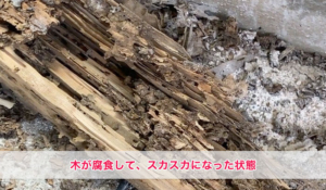 壁のヒビを発見！この家大丈夫なの？ヒビの危険度チェックと応急処置について解説 | やねまる